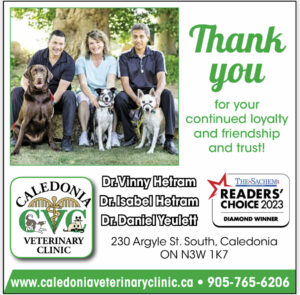 Home - Caledonia Veterinary Clinic
